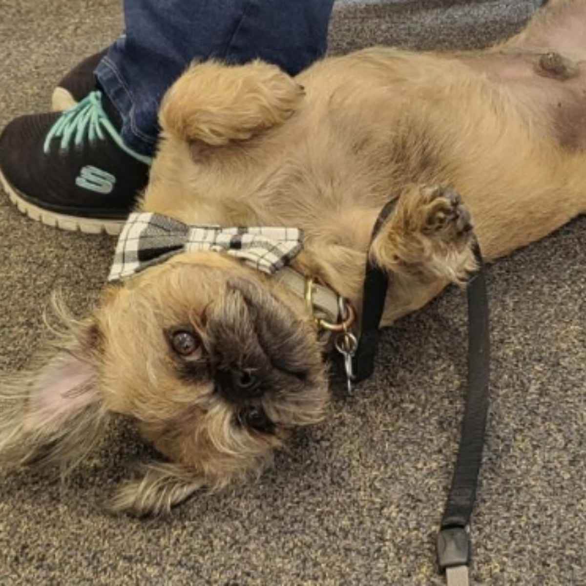 Our Employee Benefits | Careers | Boyes Turner