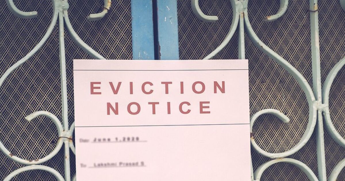 Pease v Carter [2020] EWCA Civ 175 | Property Disputes Lawyers