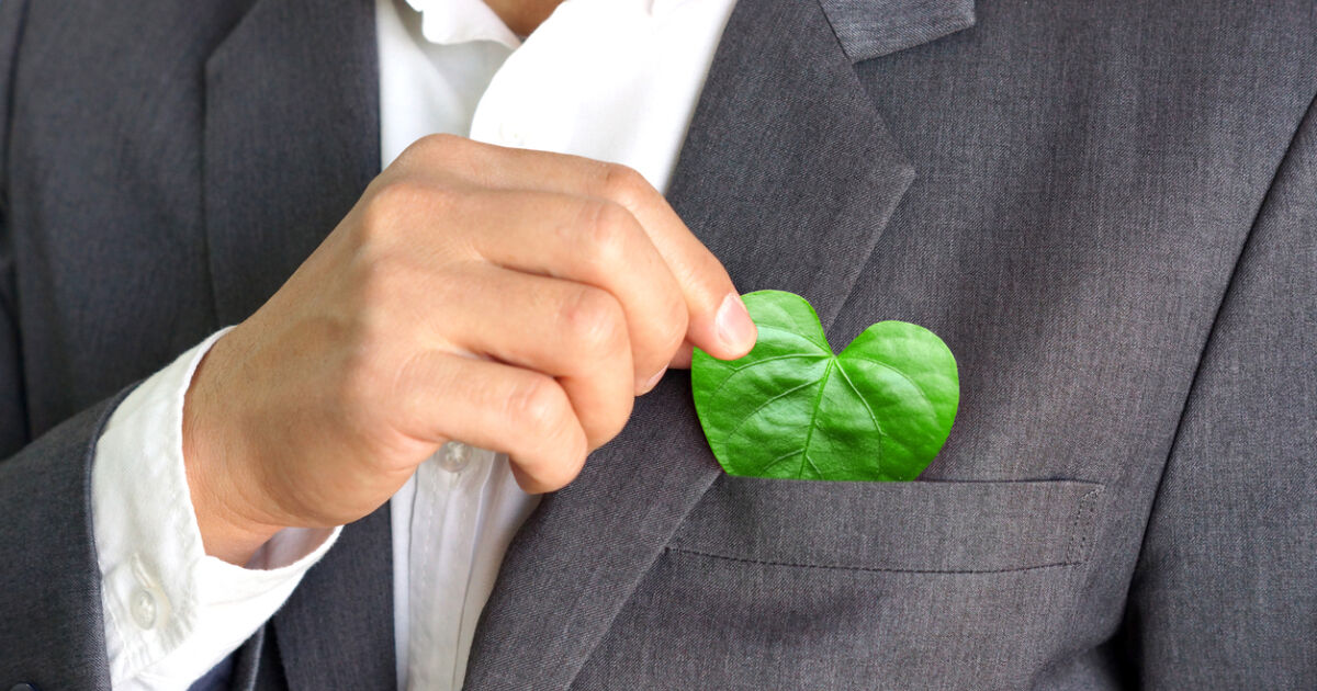 DMCC Bill set for consumer protection against 'greenwashing'